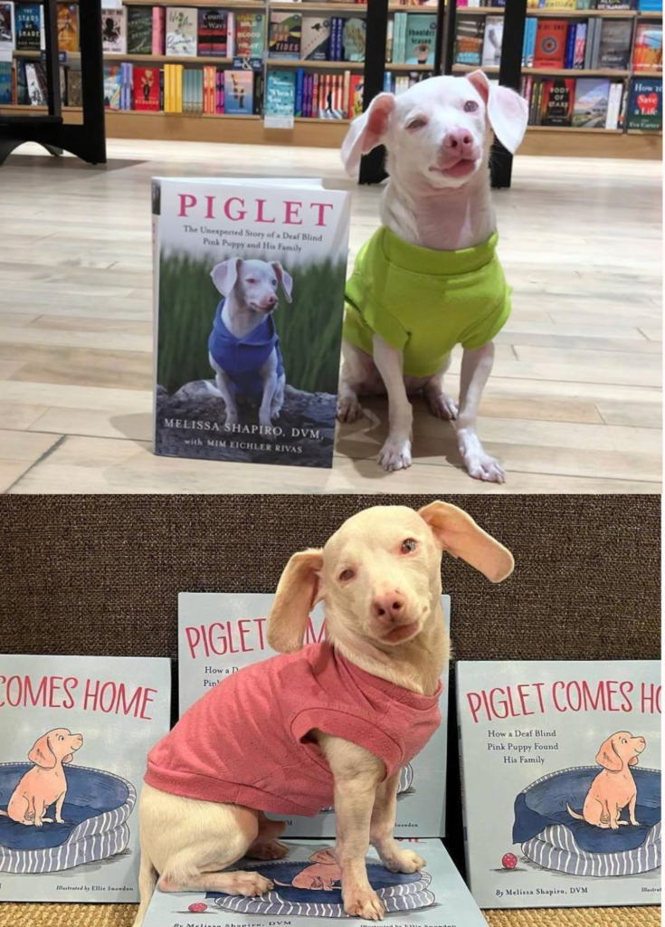 The Piglet Mindset - Woodbridge Town Library