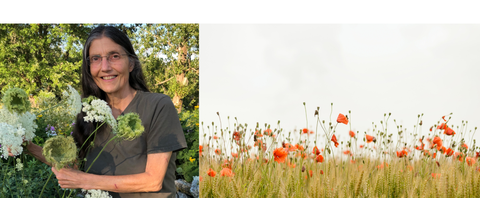 Nature as Healer - Woodbridge Town Library